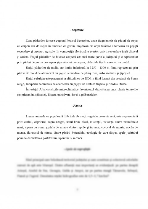 Referat: Spațiul turistic - Alba Iulia (#120095)