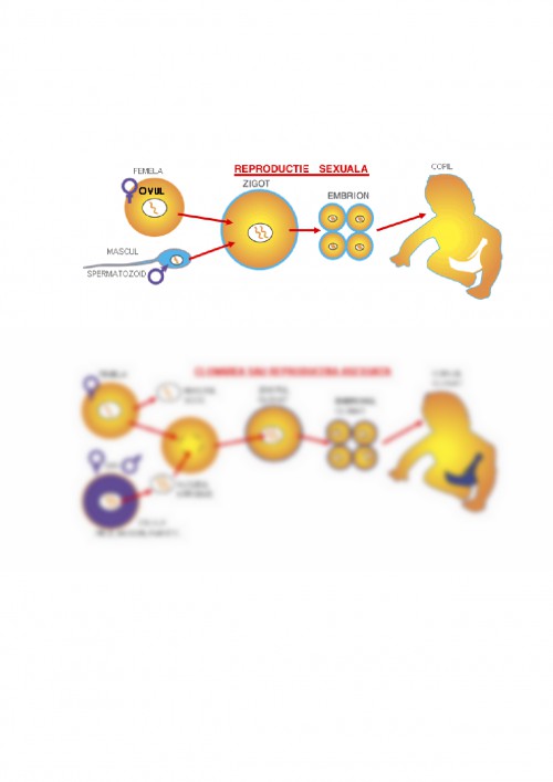 Referat: Clonarea (#122025)