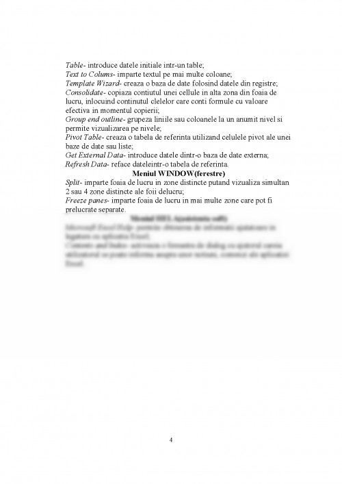 Referat: Excel (#123852)