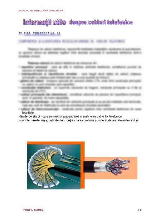 Referat: Detectarea Defectelor (#124896)