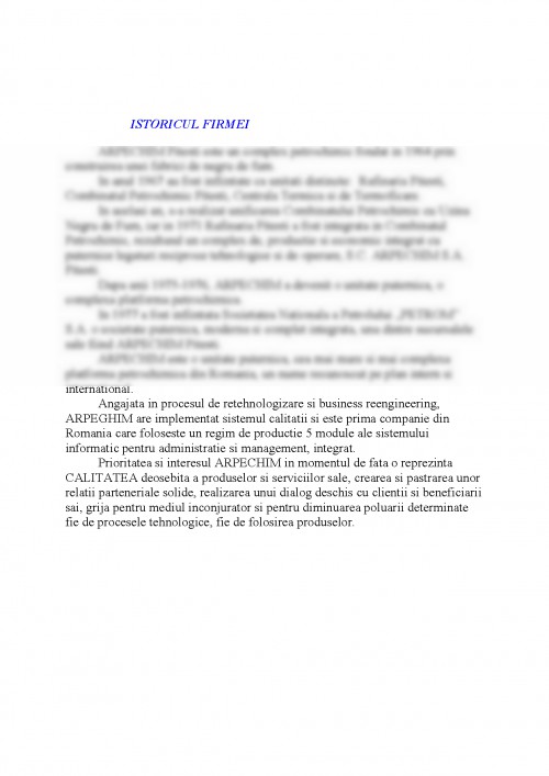 Referat: Arpechim - Prezentare - Promovare (#125548)