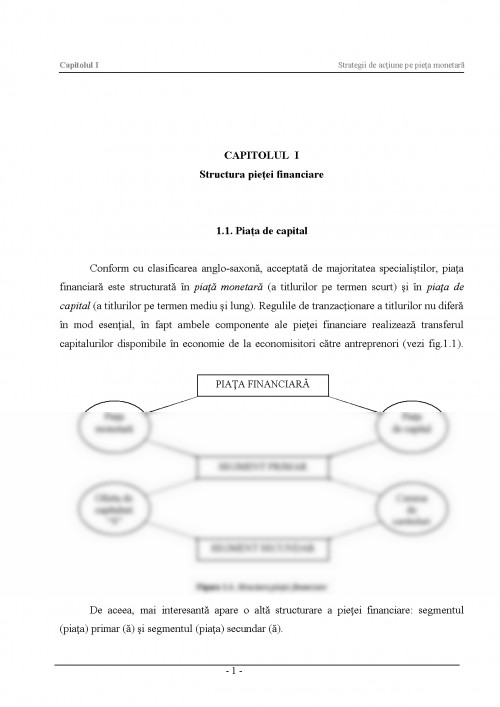 Referat: Strategii de acțiune pe piața monetară (#125831)