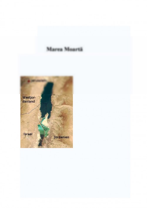 Referat: Marea Moartă (#127975)