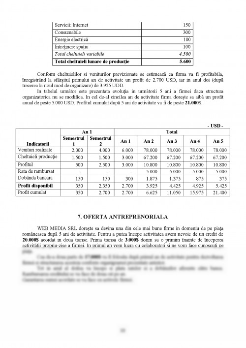 Referat: Plan de Afaceri - Studiu de Caz (#131347)