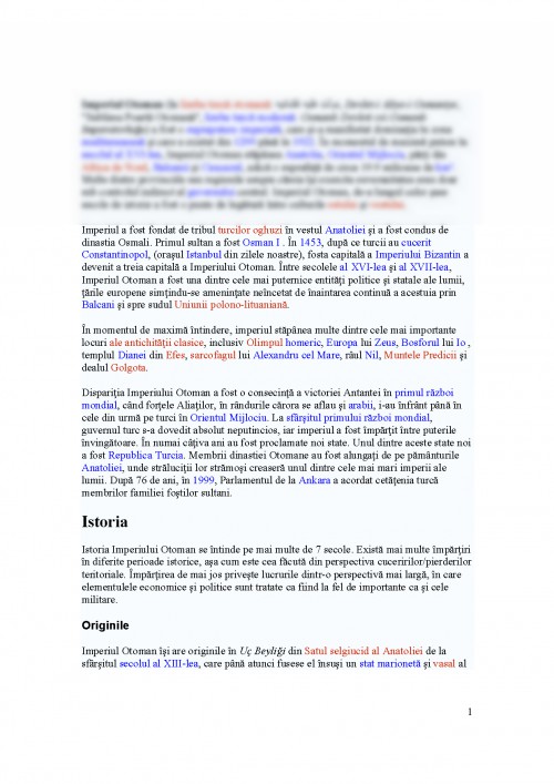 Referat: Imperiul Otoman (#131805)