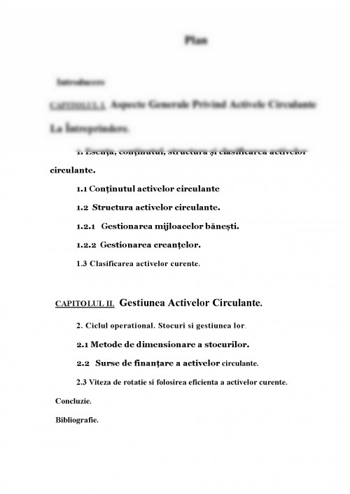 Proiect: Active Circulante (#134169)