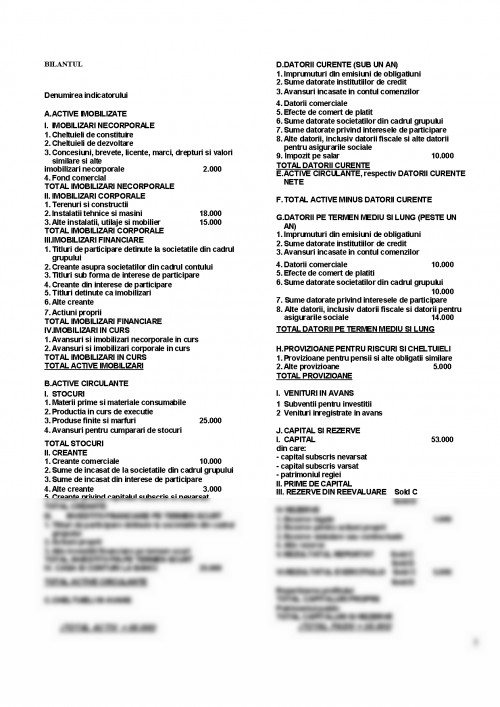 Proiect: Plan de lecție - bilanțul contabil (#136780)