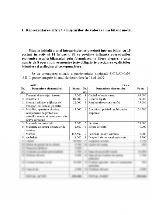 Referat: Bilanțul mobil (#137990)