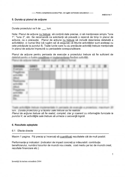 Referat: Plan de Afaceri - Model (#138341)