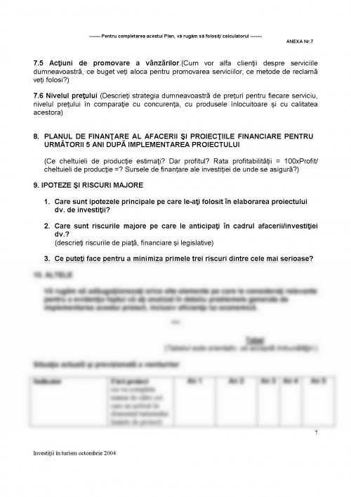 Referat: Plan de Afaceri - Model (#138341)