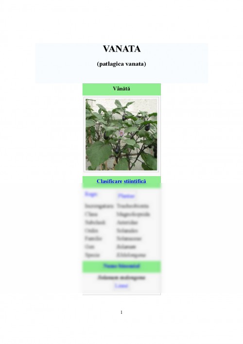 Referat: Vânăta (#139284)