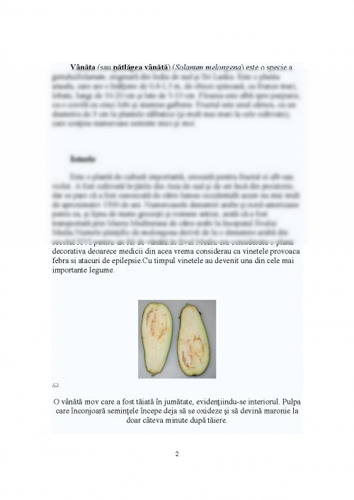 Referat: Vânăta (#139284)