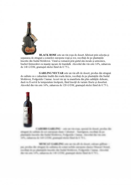 Referat: Firmă (#140228)