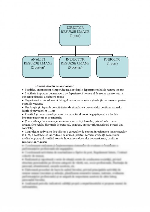 Referat: Resurse umane - fisă de post (#140847)