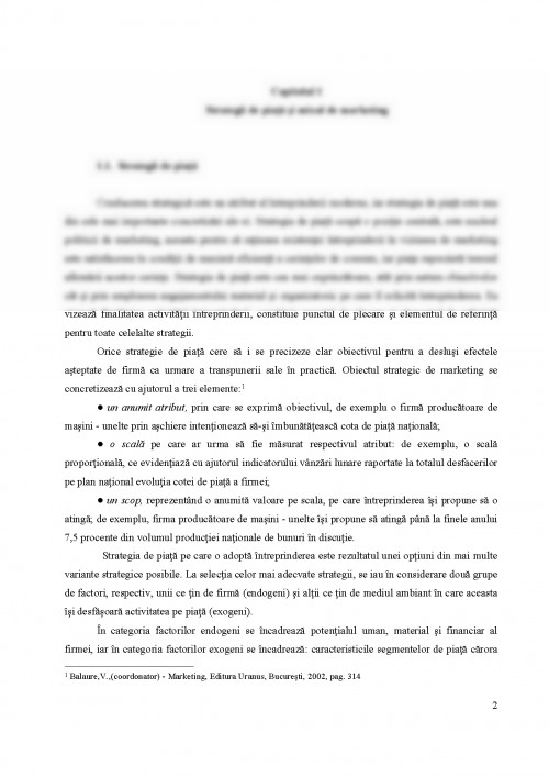 Referat: Strategii de Piață și Mixul de Marketing (#147514)