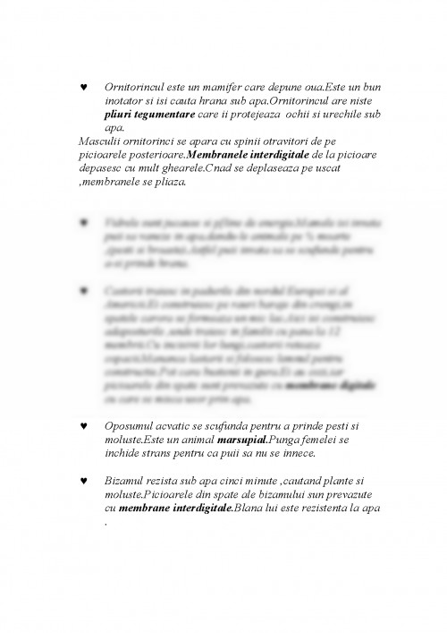 Referat: Mamifere (#147577)