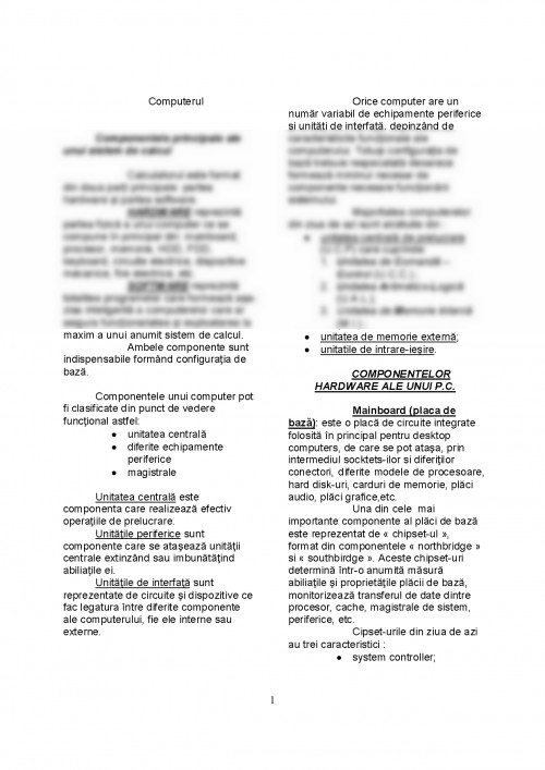 Referat: Structura unui computer (#148866)