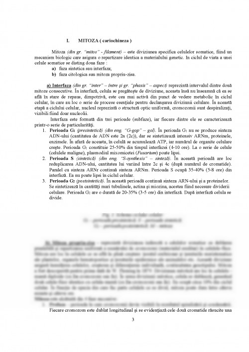 Referat: Mitoză și meioză (#151685)