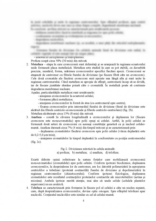 Referat: Mitoză și meioză (#151685)