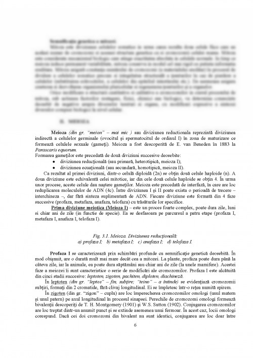 Referat: Mitoză și meioză (#151685)