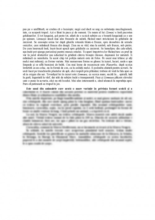 Referat: Melcii (#154090)