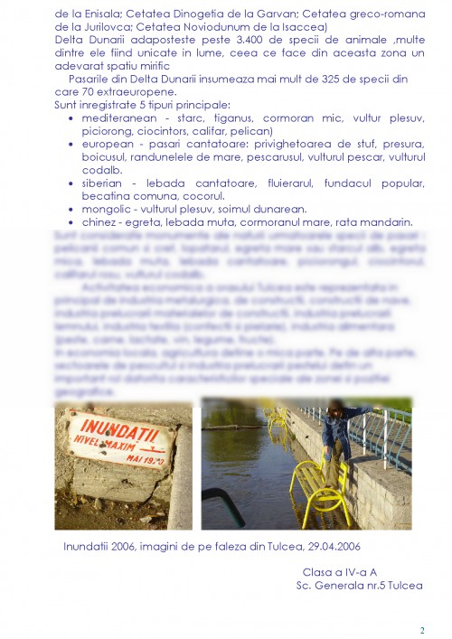 Referat: Orașul Tulcea (#157683)
