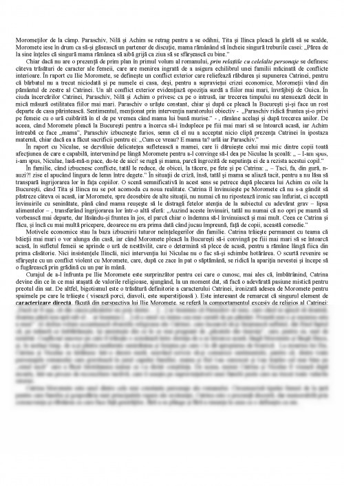 Referat: Personaj feminin din roman postbelic (#159922)