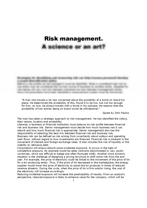 Referat: Risk management (#162474)
