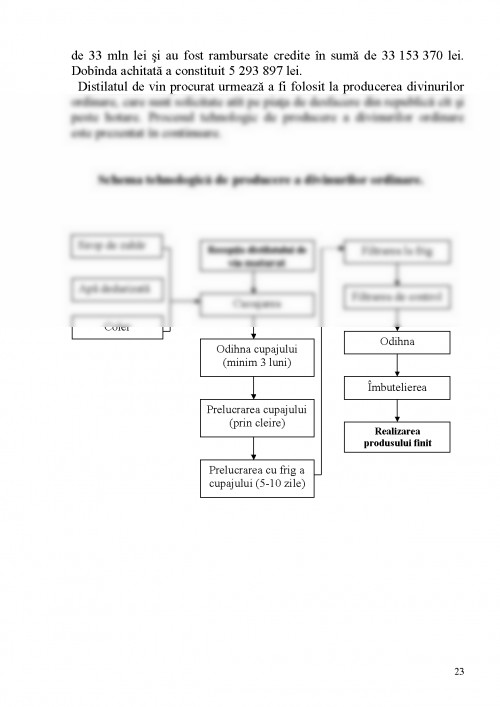 Proiect: Practica de licență (#165562)