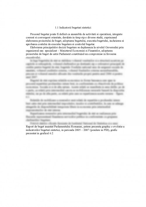 Referat: Indicatorii bugetari sintetici (#165811)