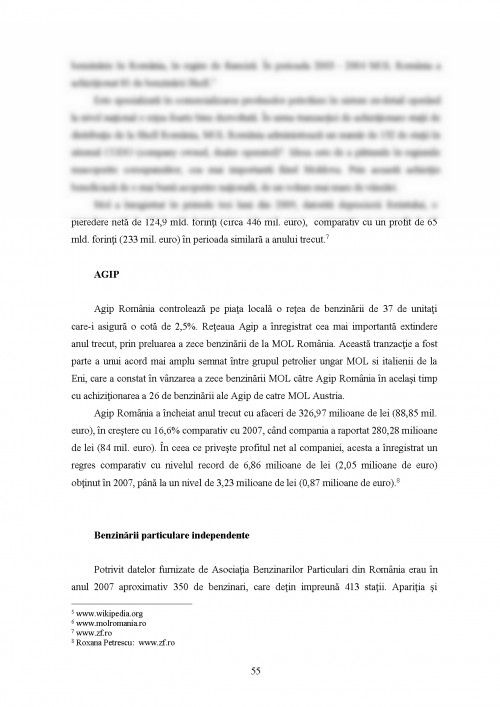 Referat: Analiza mediului extern Petrom SA (#171887)