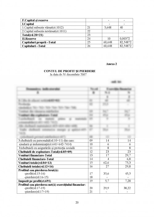 Proiect: Studiu de fezabilitate (#173581)