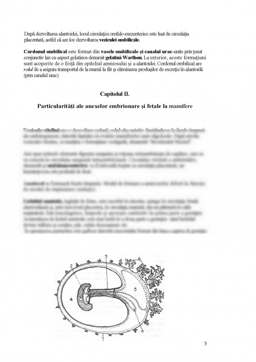 Referat: Anexele embrionare și fetale (#173989)