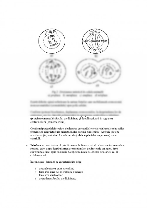 Referat: Diviziune celulară (#174568)