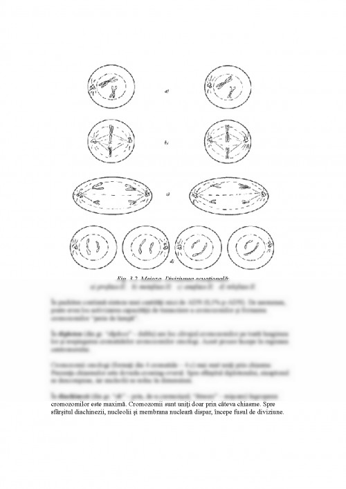 Referat: Diviziune celulară (#174568)