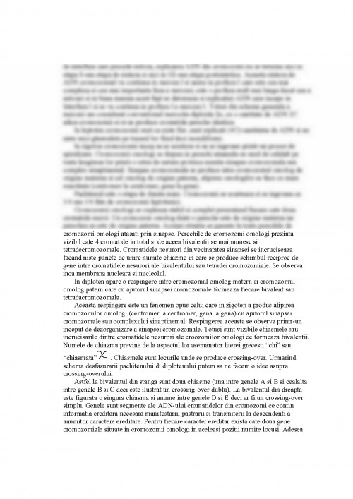 Referat: Meioza (#174945)