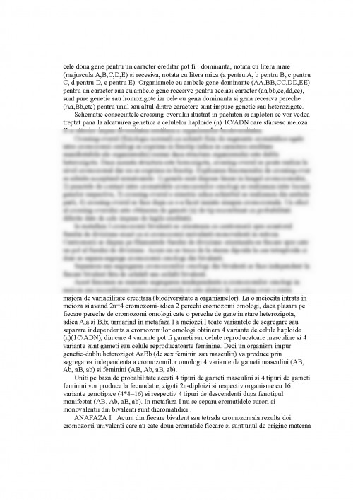 Referat: Meioza (#174945)