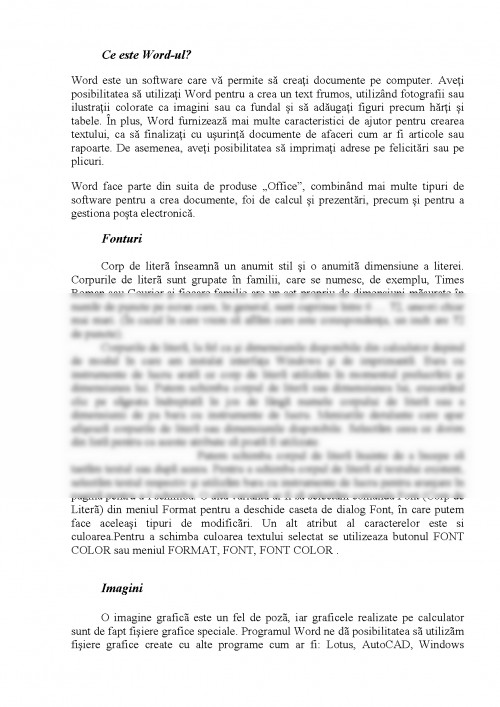 Referat: Microsoft Word (#176748)