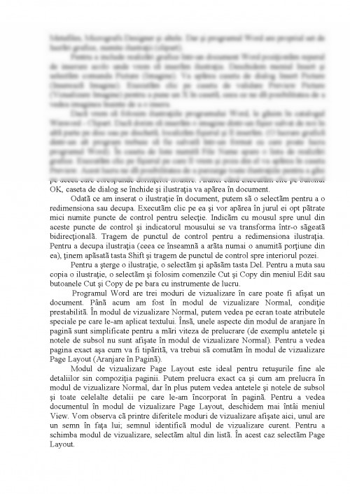 Referat: Microsoft Word (#176748)