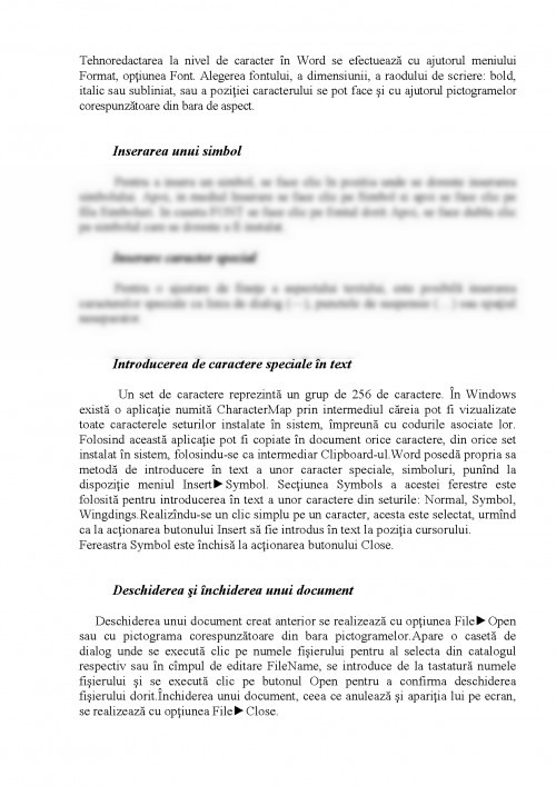 Referat: Microsoft Word (#176748)