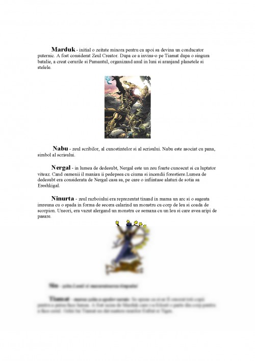 Referat: Zeii Sumerieni (#184152)