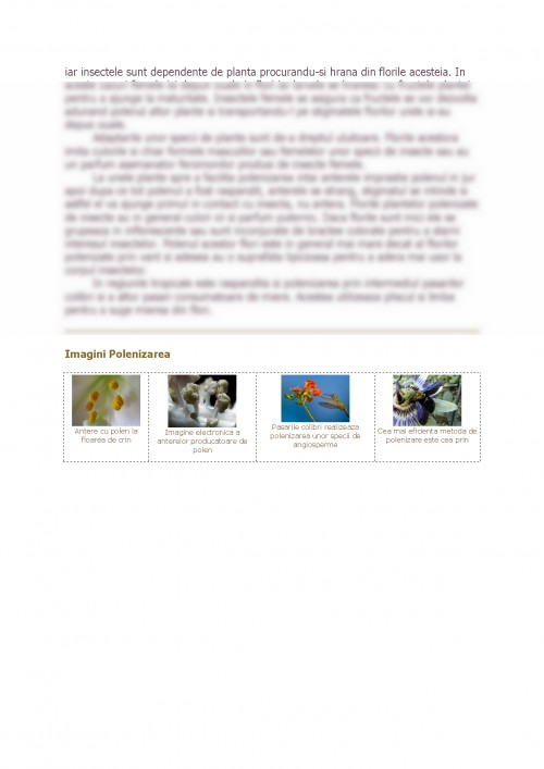 Referat: Reproducerea, polenizarea, fecundarea și formarea seminței ...