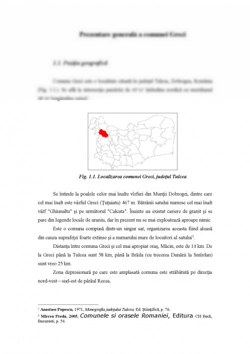 Referat: Prezentare generală a comunei Greci (#184972)