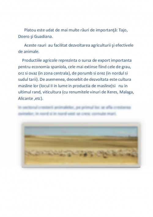 Referat: Podișul Meseta (#185570)