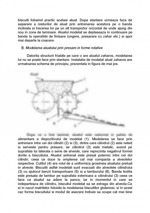 Proiect: Procesul tehnologic de fabricare a biscuiților (#272805)
