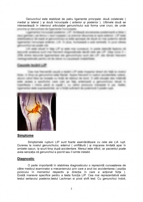Referat Leziunile Ligamentului încrucișat Posterior 276327