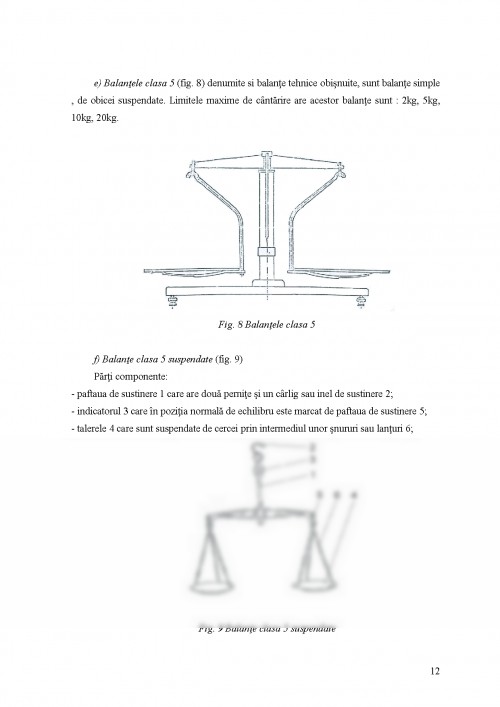 Proiect: Procedee. metode. aparate pentru determinarea masei (#279909)