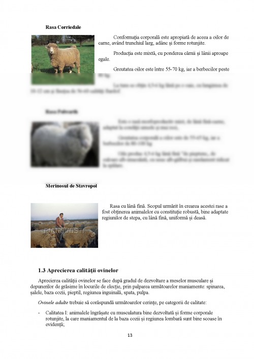 Proiect: Proiectarea unui Abator de Ovine (#283220)