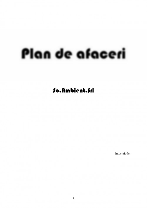 Proiect: Plan de Afaceri SC Ambient SRL (#284734)