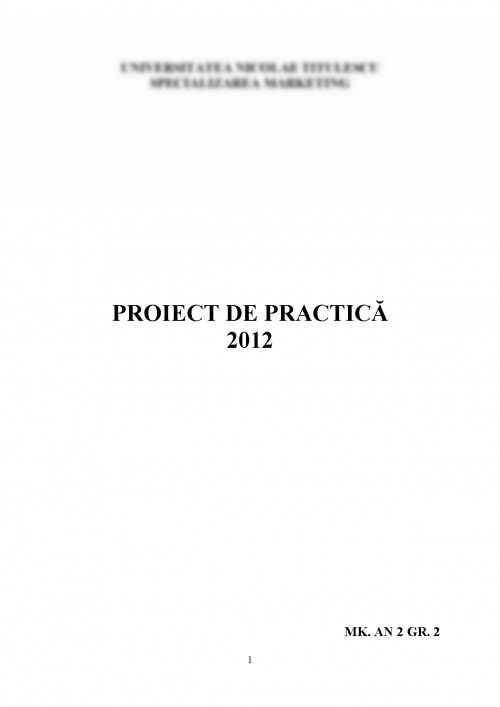 Referat: Proiect de Practică (#284762)